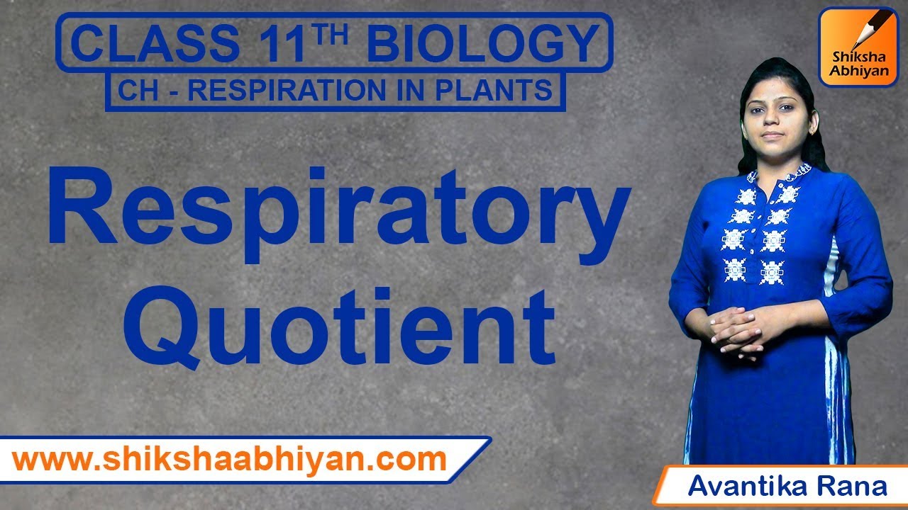 Respiratory Quotient - YouTube