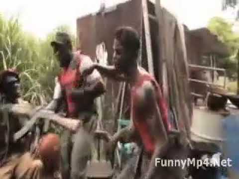 Monkey shooting AK47