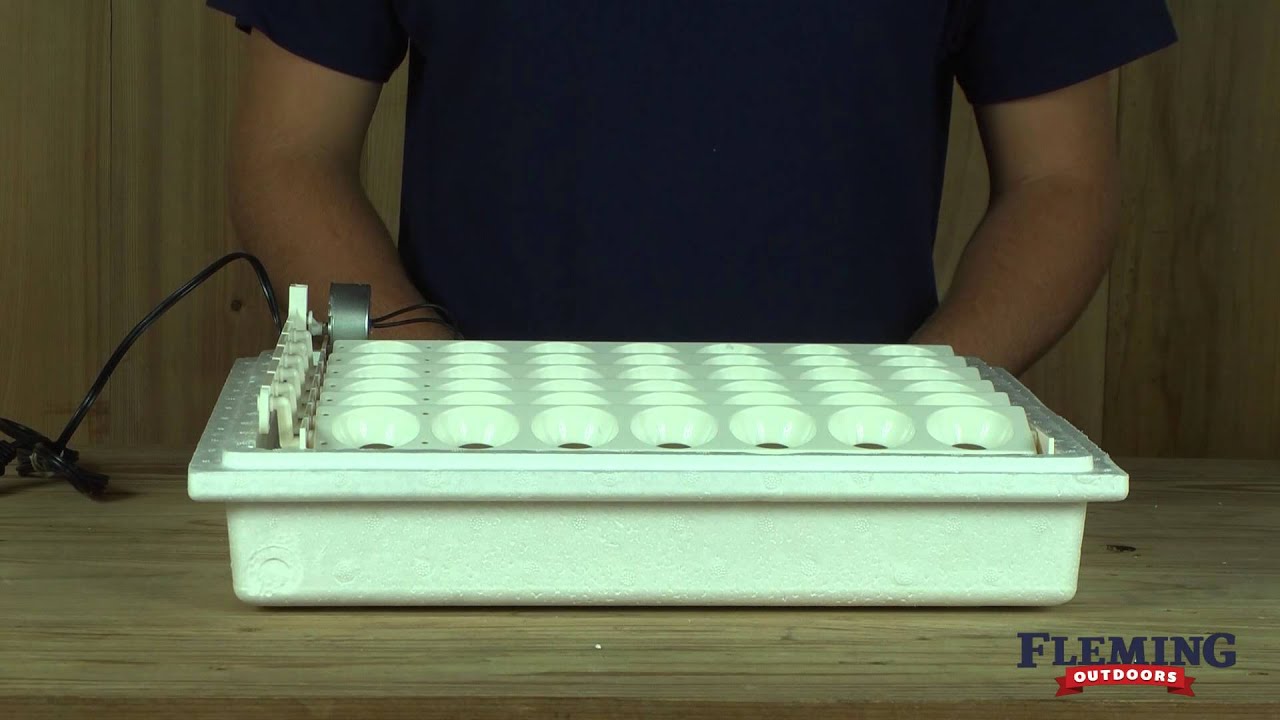 Farm Innovators Automatic Egg Turner - YouTube