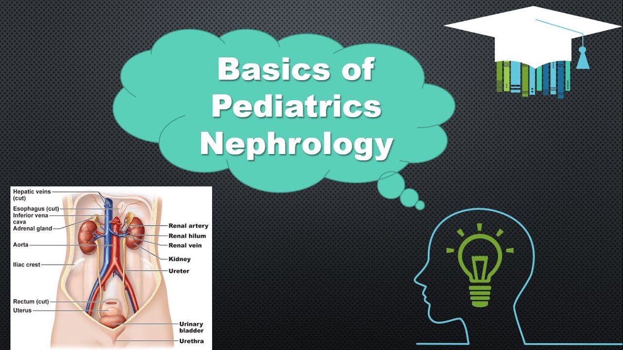 Pediatrics Kidney Basics - YouTube