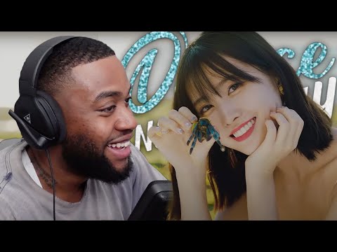 Catchin' Up With TWICE! ('Dance The Night Away' Reaction!)
