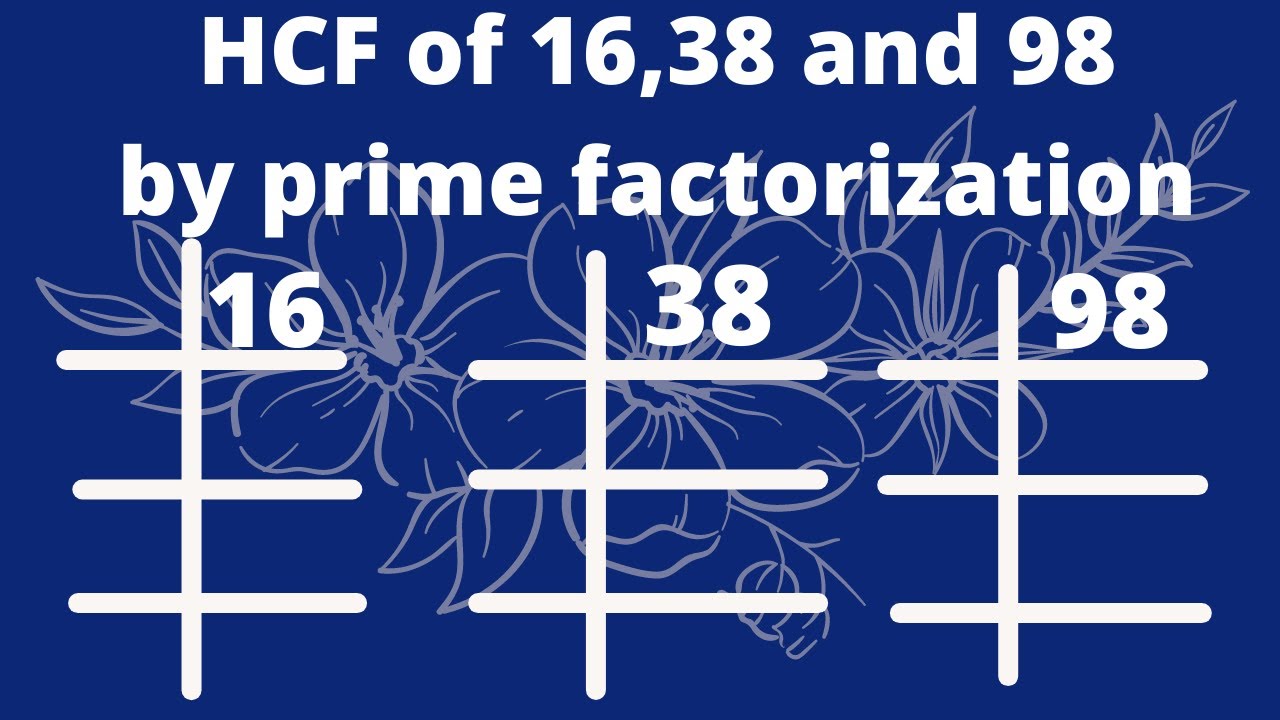HCF of 16,38 and 98 by prime factorization | HCF of 16 38 98 | in Urdu ...