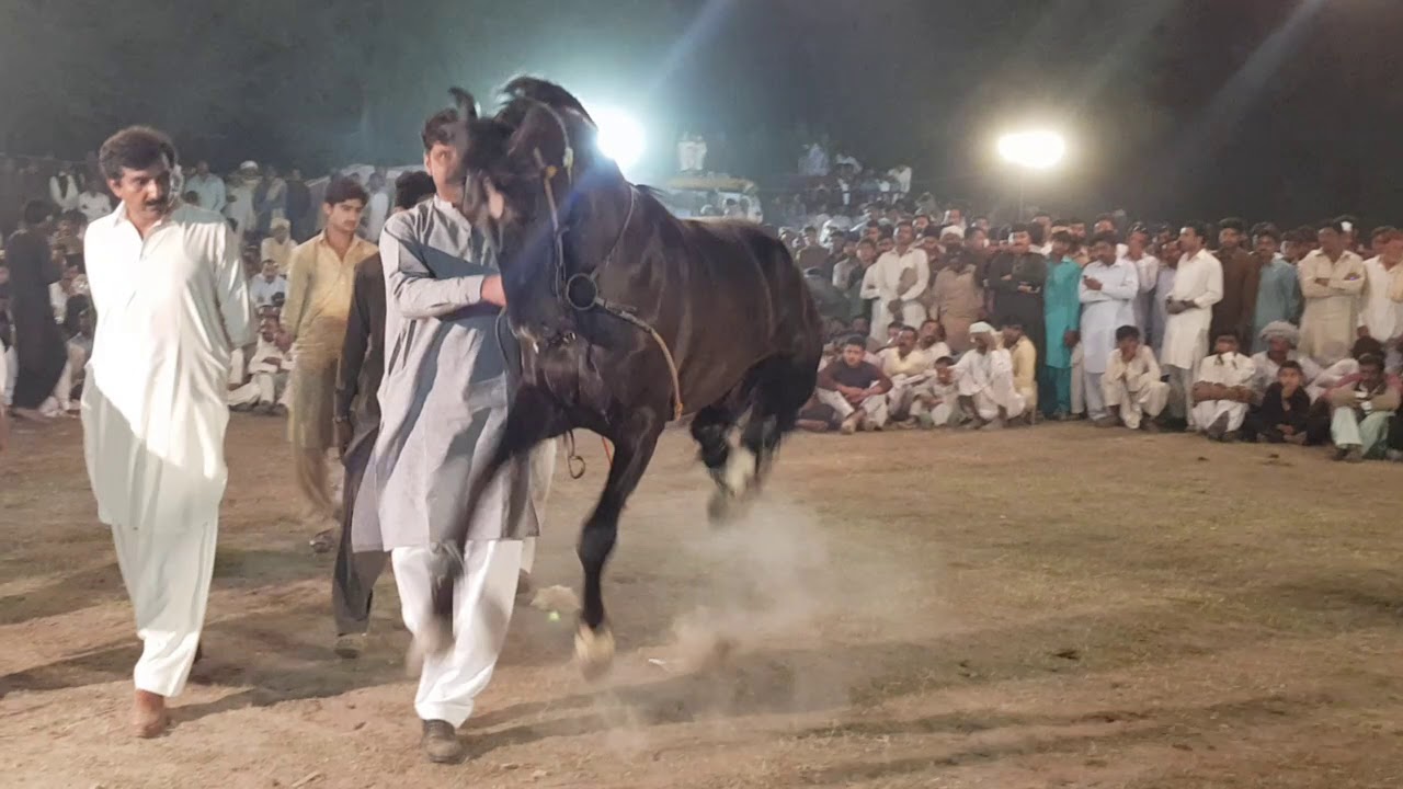 Ghora Dance at Mela 18 Hazari Jhang Day 2 - YouTube