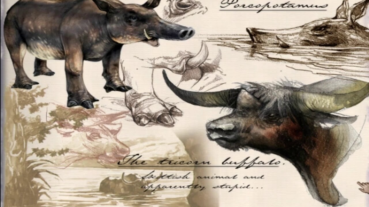 Amazone Chapter 1 Alexandre Valembois Home No Commentary - YouTube