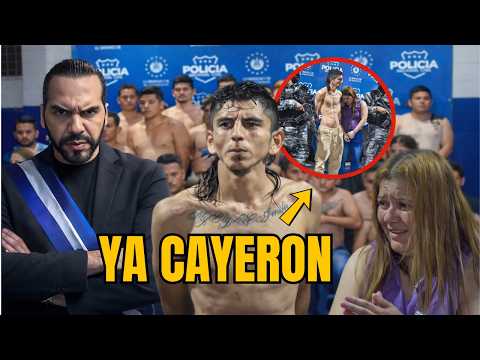 Se creían intocables… Bukele los cercó sin salida 🚨