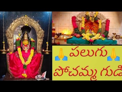 #Telangana #narsapur palugu #pochamma temple #rekharoyals - YouTube