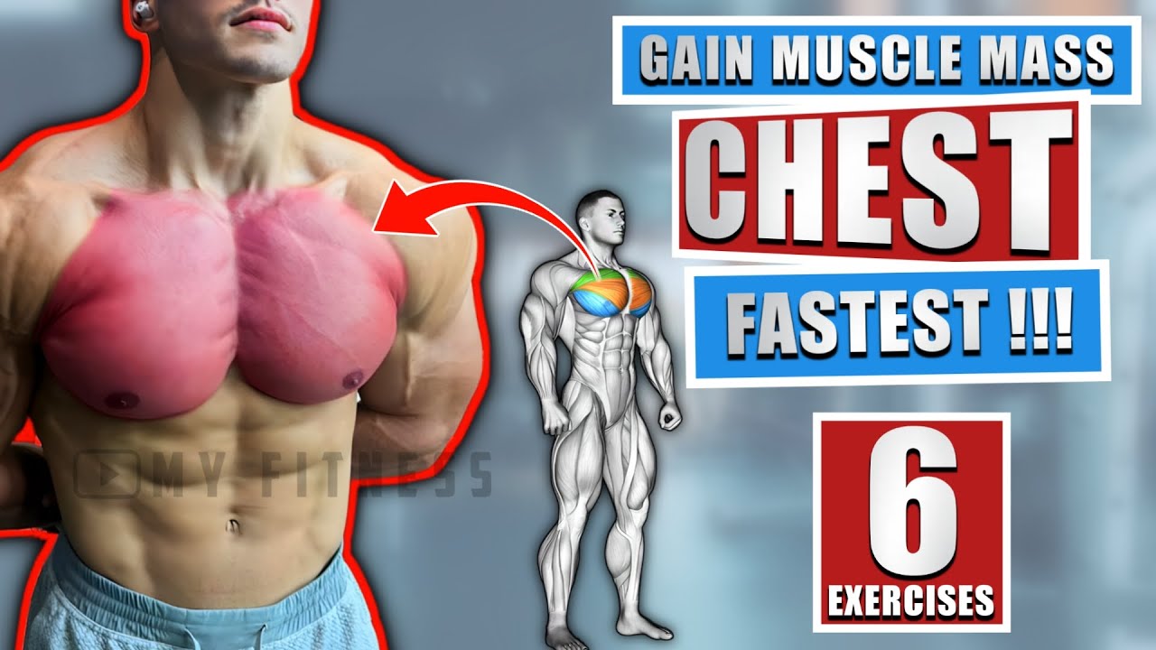 Best Chest Workout for Mass Gain - Get Bigger Chest - YouTube