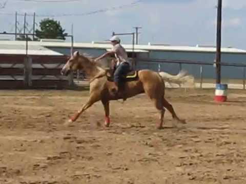 Stretchy loping the pattern. Palomino Barrel horse for sale! - YouTube