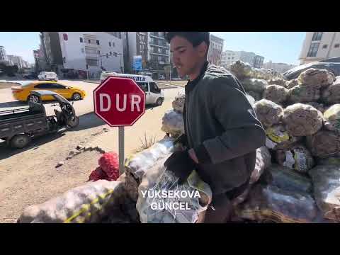 Yüksekova’da Kış Hazırlığı: Patates ve Soğan Satışları Başladı