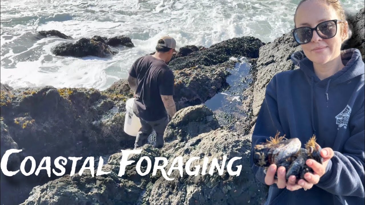 Coastal Foraging [Seafood Cioppino] Catch and Cook! - YouTube