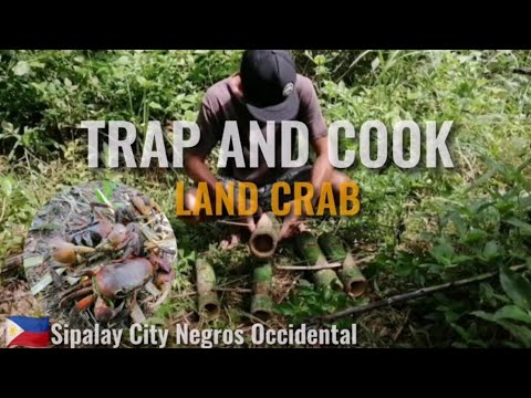 EP4 - TRAP AND COOK "KURAY" LAND CRAB USING BAMBOO TRAP "PASGONG ...
