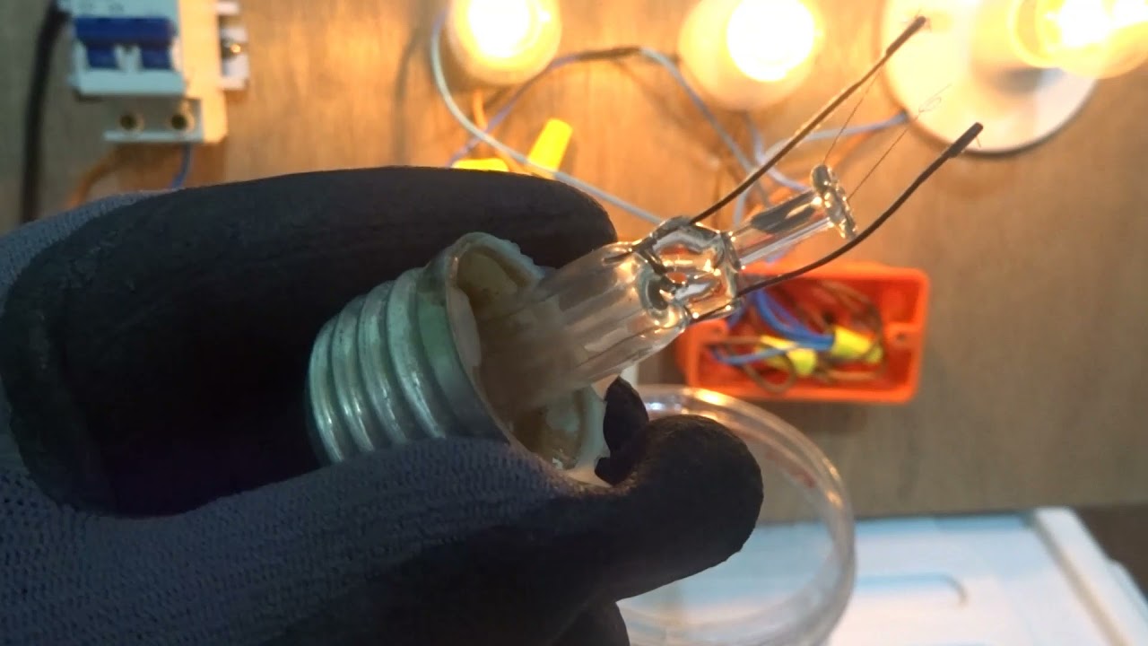 Bulb parts and function - YouTube