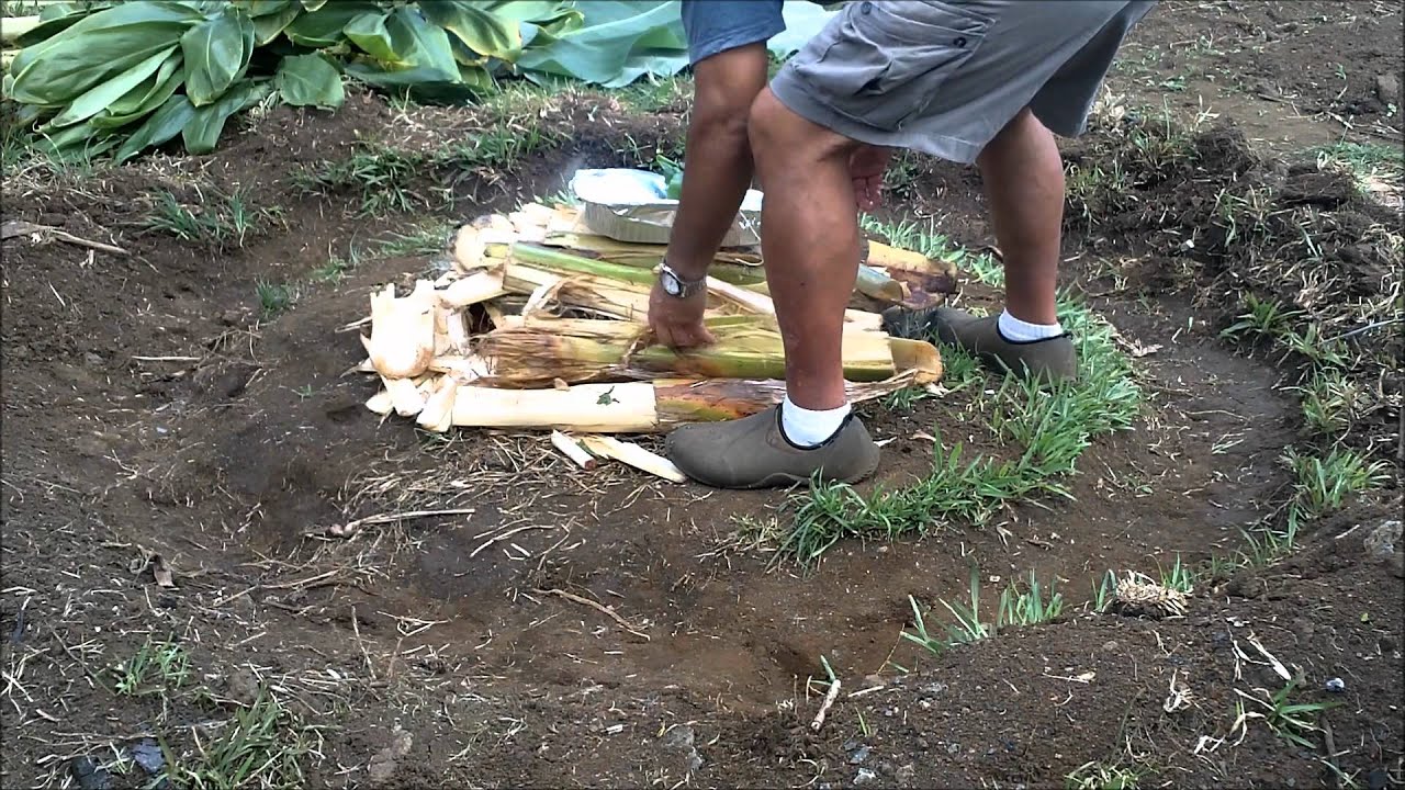 Kalua Pig Mini Imu.wmv - YouTube