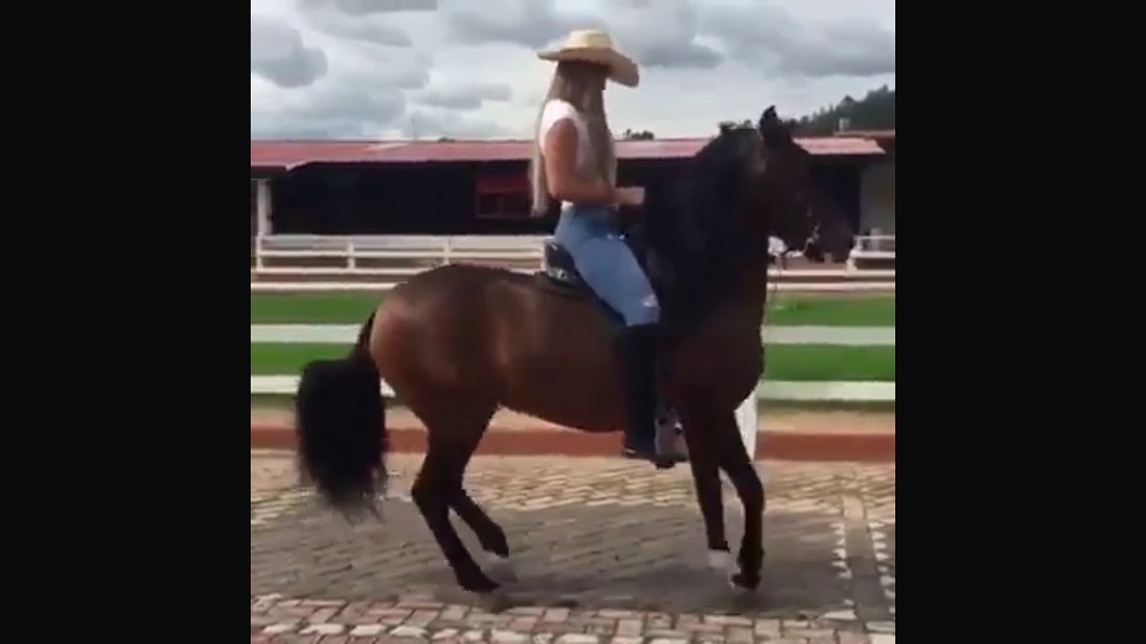 CHICA MONTANDO CABALLO PASO FINO - YouTube