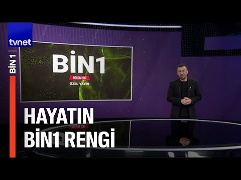 Modern zamanlar literatürü için dijital bir referans serüveni: Bin1