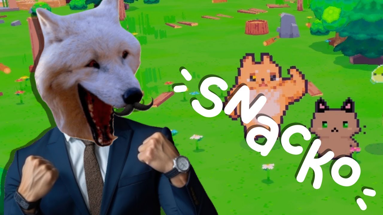 Buffpup rocks up to the island | Snacko - YouTube