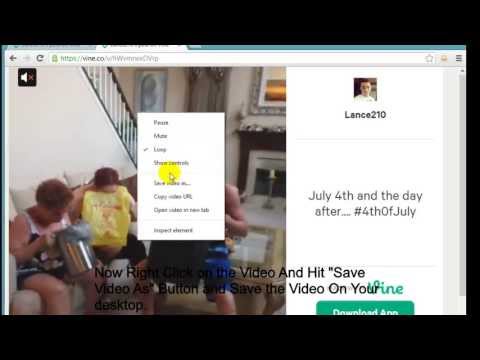 How To Download Vine Videos Without Any App