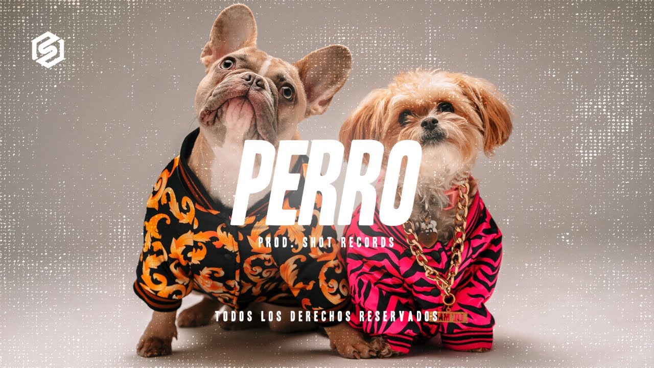 Perro - Reggaeton Old School Wisin y Yandel Type Beat Instrumental ...