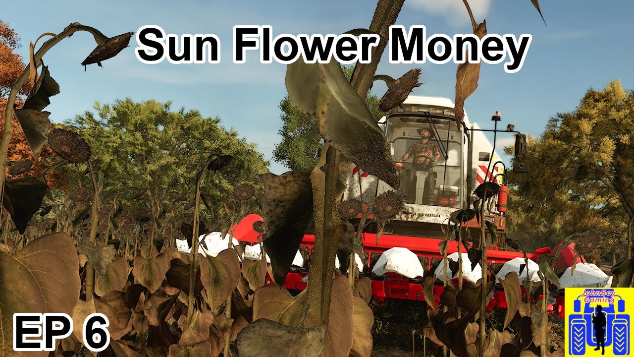 Serious Money From Sun Flowers???? Farming Simulator 25 The Field ...