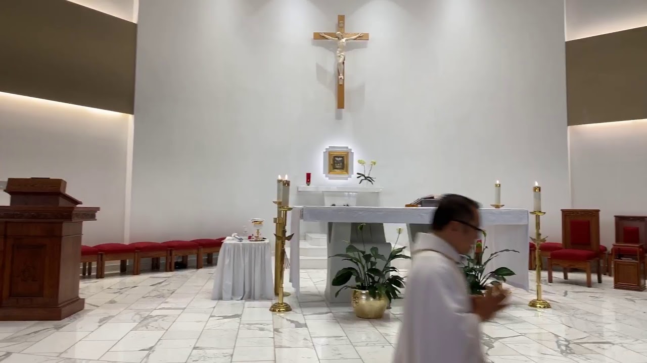 Saturday of the 14th week in Ordinary Time - YouTube
