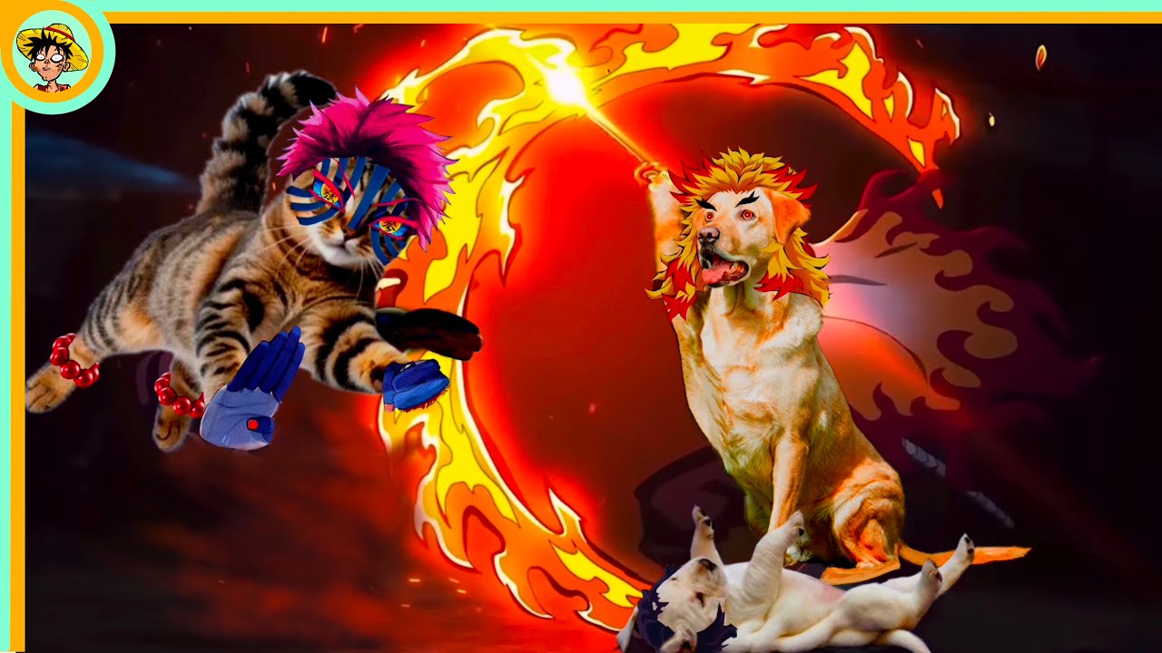 Akaza Cat vs Rengoku Dog - YouTube