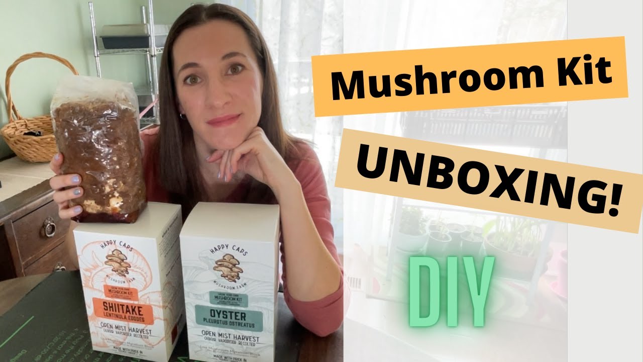 Mushroom Kit Unboxing! 📦 Growing Oyster and Shitake Mushrooms at home ...