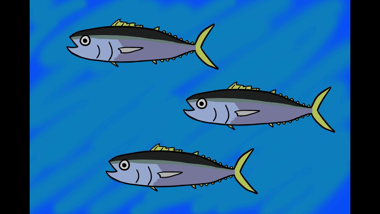 Tuna Life Cycle - YouTube