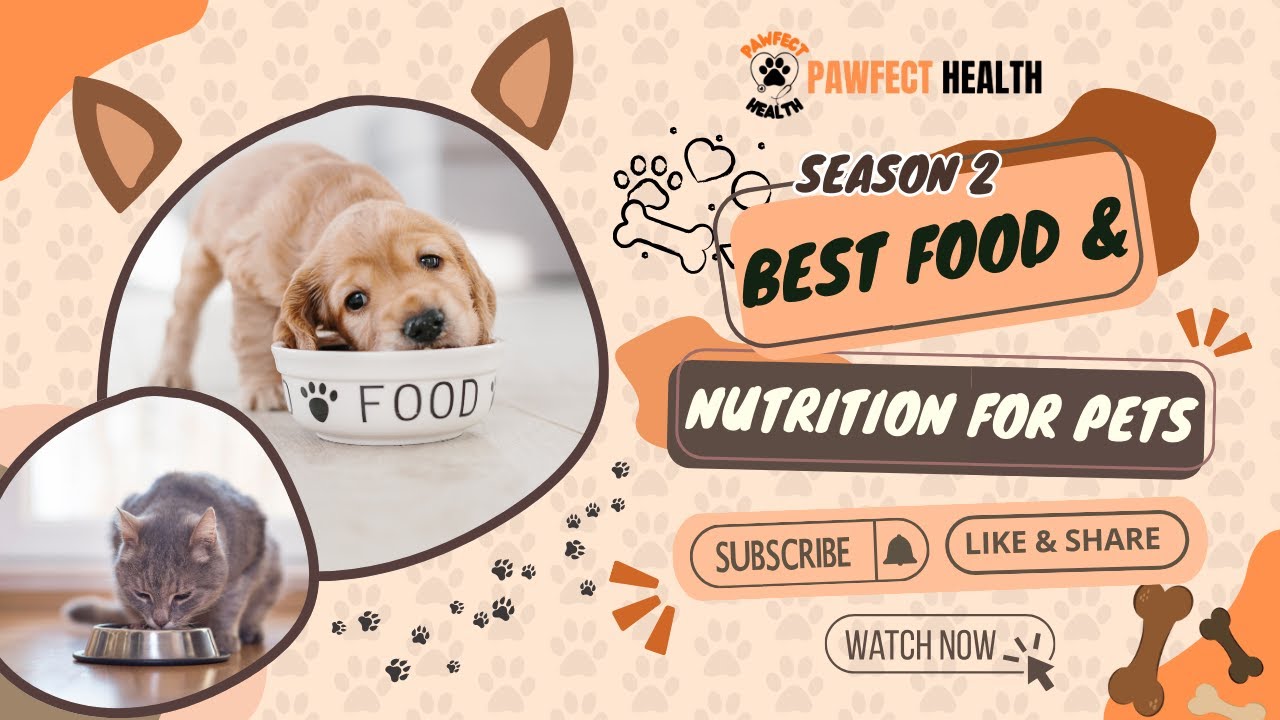 Best Food & Nutrition for Pets Best Foods for a Healthy & Happy Pet ...