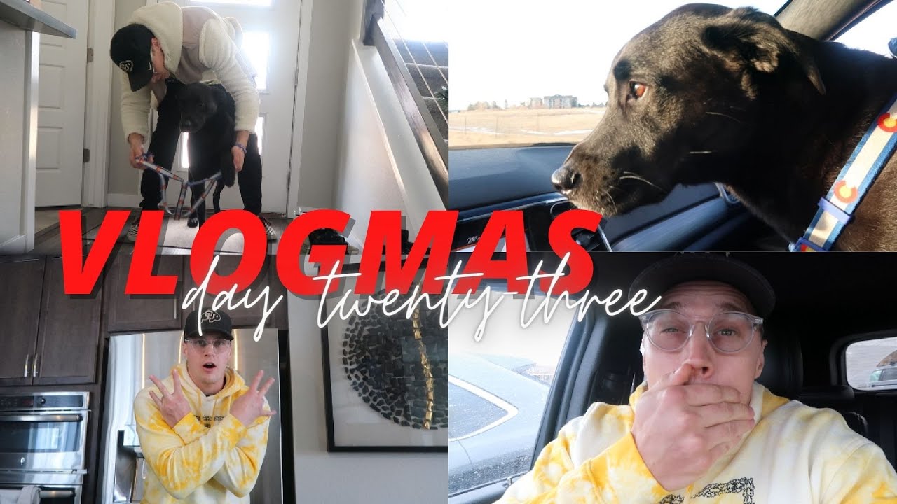 VLOG! a full day with just Ryan and Chippy! Vlogmas day 23! - YouTube