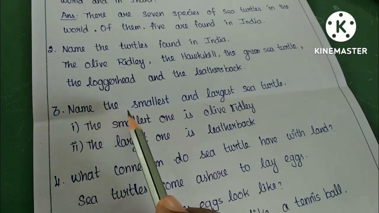 6th Samacheer English Lesson 1 Term 1 Question And Answer YouTube 6th-samacheer-english-lesson-1-term-1-question-and-answer-youtube