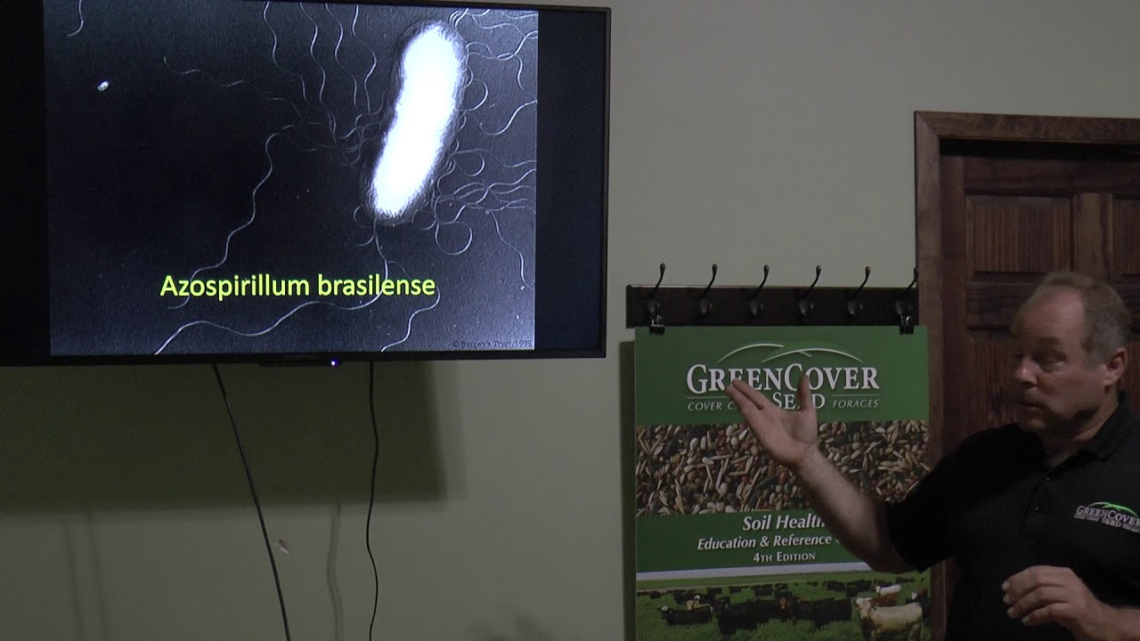 Dale Strickler | Nitrogen - YouTube