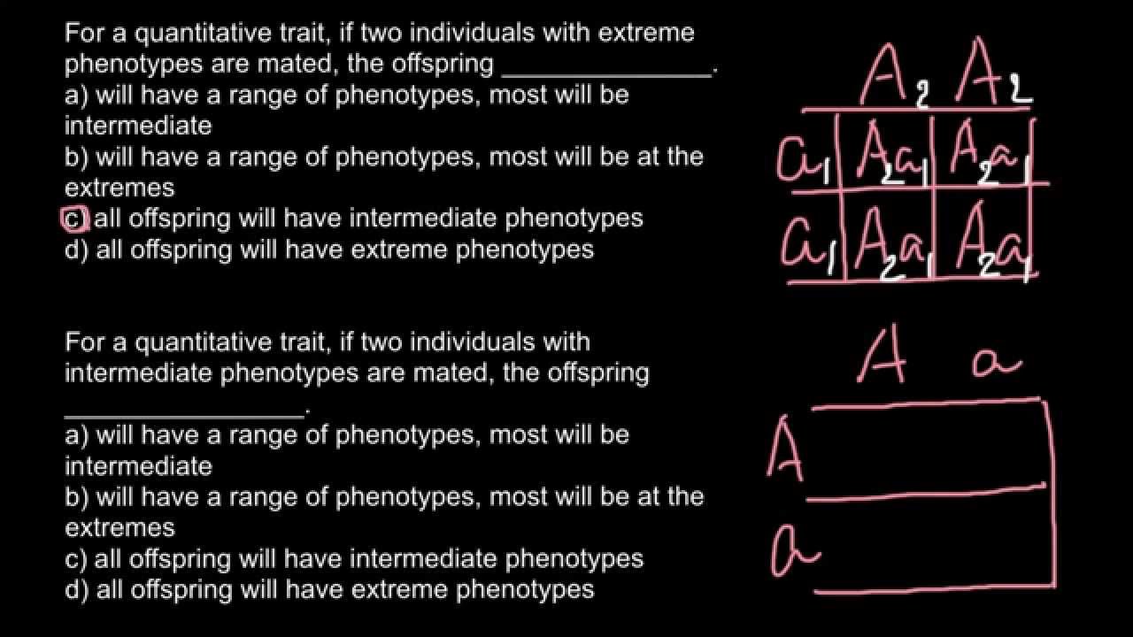 Quantitative trait and phenotype - YouTube