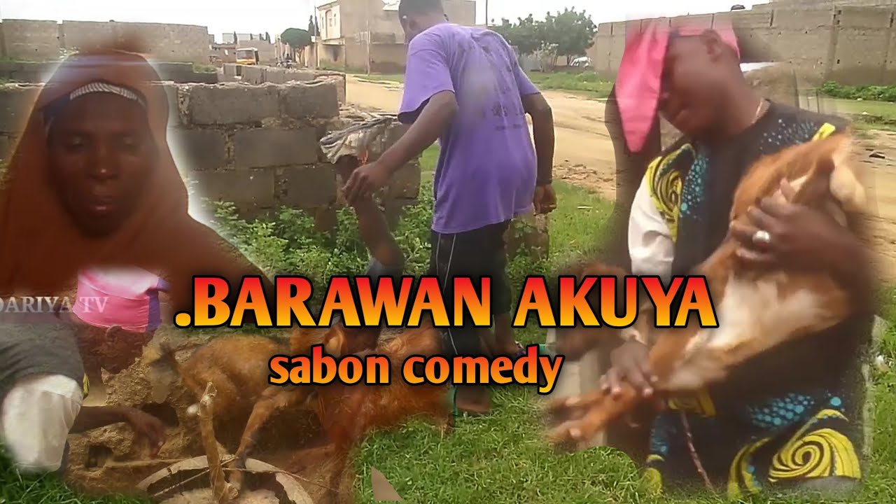 Sabon comedy suwidi barawan akuya🐐:-: #umarmsharif #hamisubreaker # ...