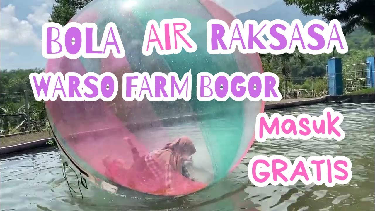 Bola Air Raksasa di Kebun Buah Durian & Buah Naga di Warso Farm Bogor ...
