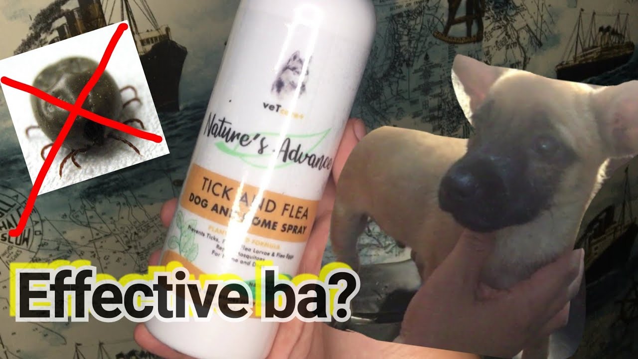 Vet Core Plus Effective ba ? - YouTube