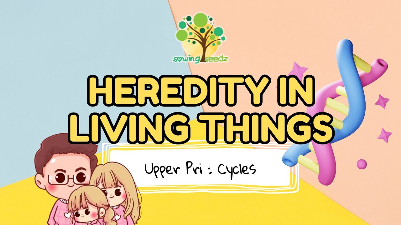 Mini lesson on Cycles - Heredity in Living Things - YouTube