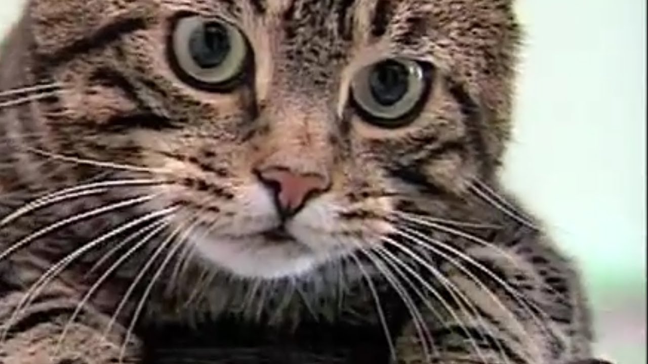 Watch This Video When You Feel Discouraged - YouTube