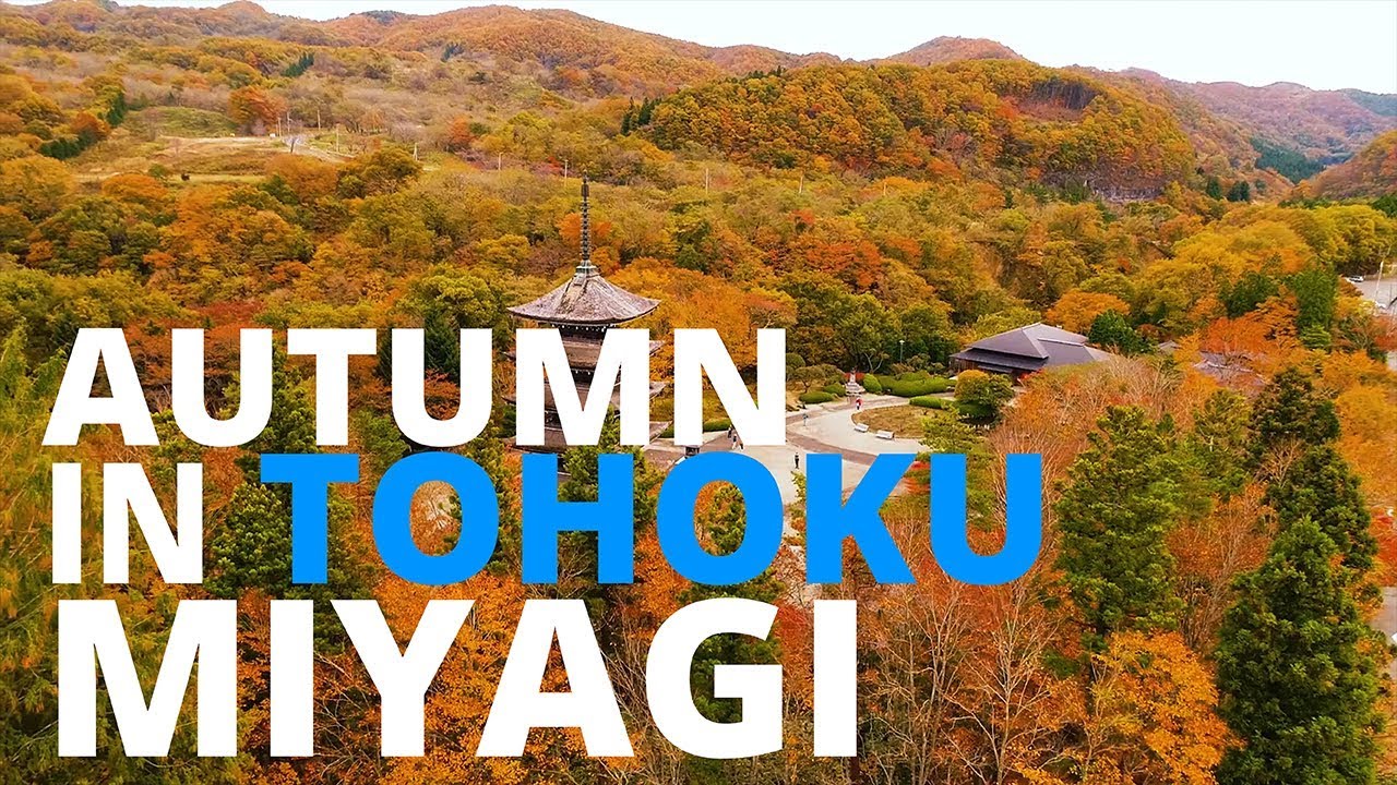 【Drone】Autumn in Tohoku: Miyagi - YouTube