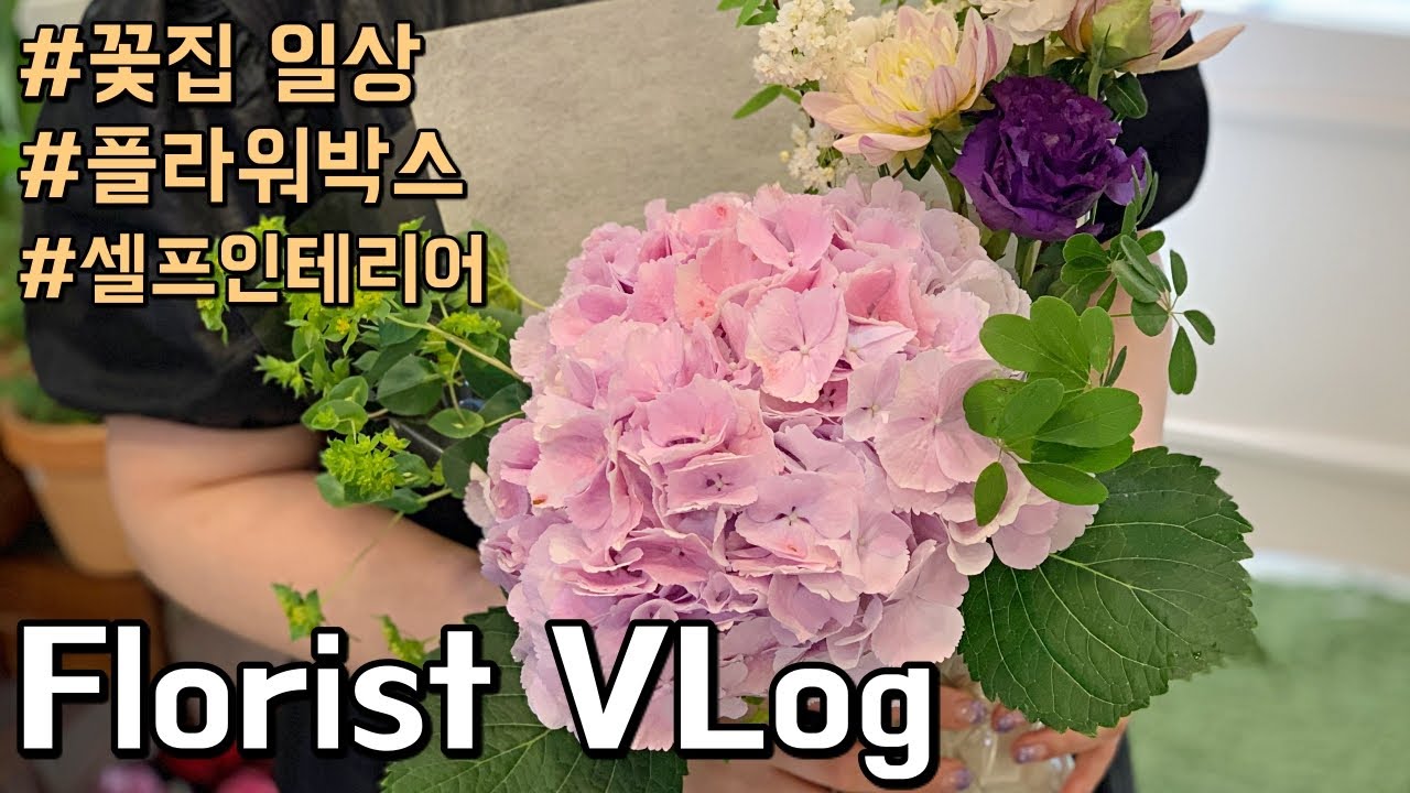 플로리스트 Vlog 꽃집 일상 브이로그 플라워박스 셀프인테리어 솔직담백 5분 브이로그 Youtube