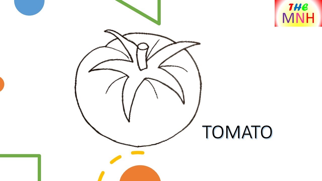 HOW TO DRAW TOMATO FOR KIDS EASY STEP BY STEP - YouTube