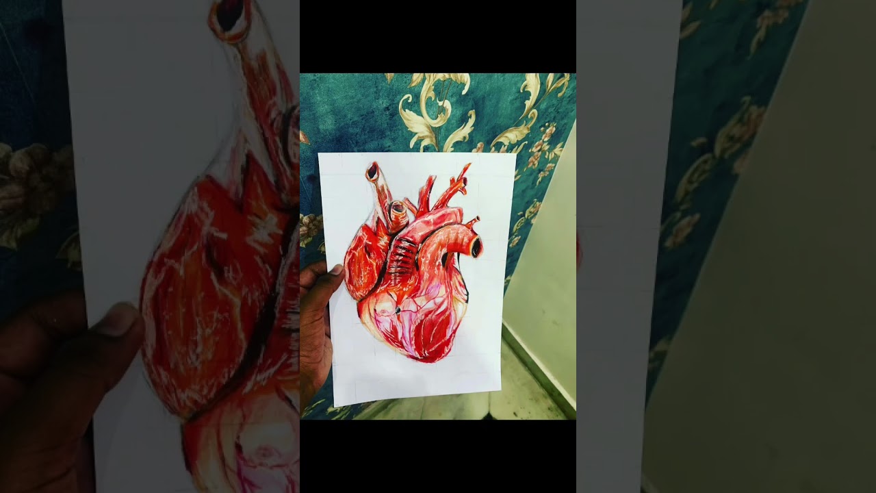 How to draw realistic heart - YouTube