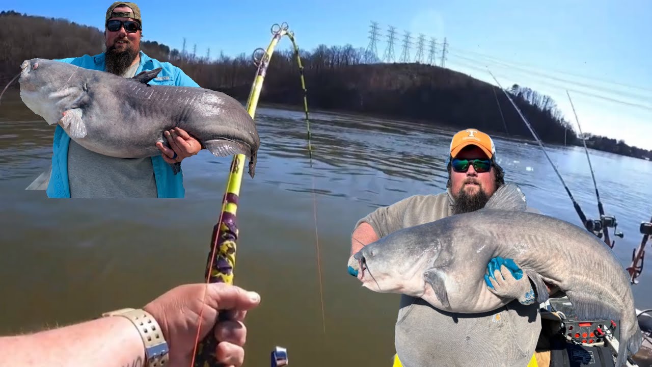 2 HOURS of Catching BIG Catfish! (Watch till the end !!) - YouTube
