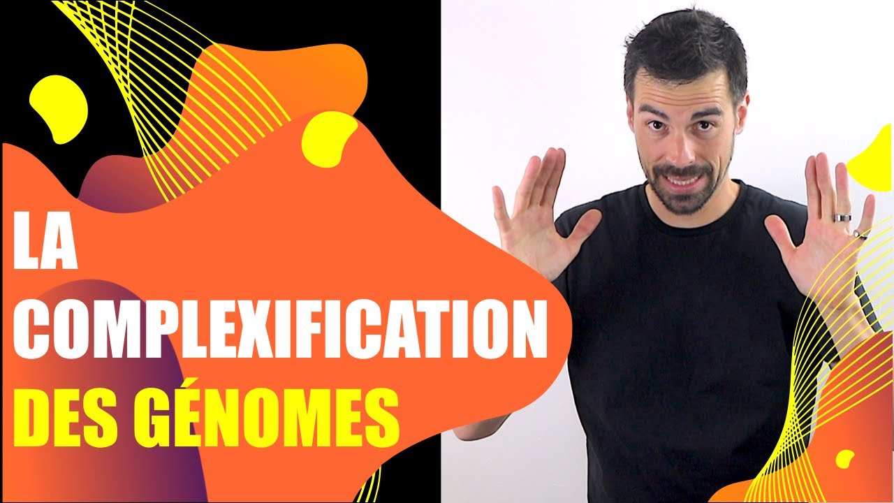 COURS DE TERMINALE SPÉCIALITÉ SVT : CHAP.3: LA COMPLEXIFICATION DES GÉNOMES -Bio Logique- - YouTube
