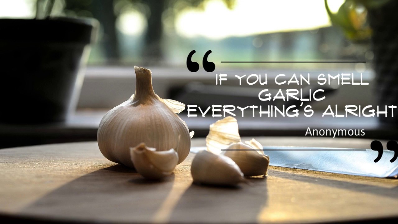 National Garlic Day! Quote of the Day April 19, 2020 - YouTube