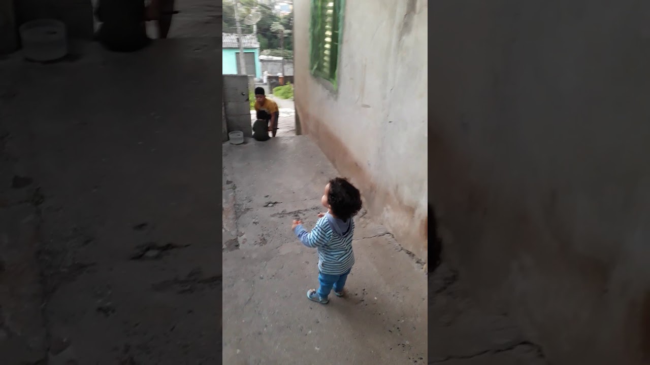 Tio E Sobrinhos Youtube