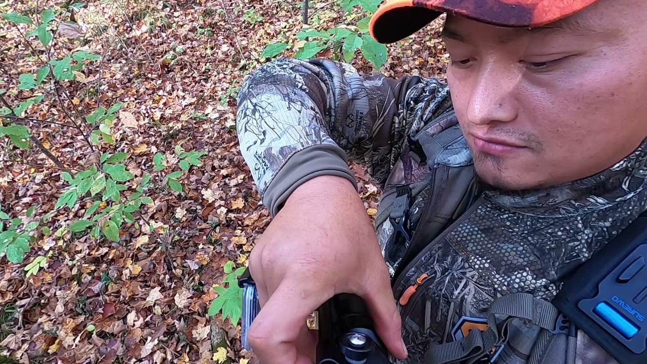 Gray Squirrel Hunting in WI 2021 - Part 6 - YouTube