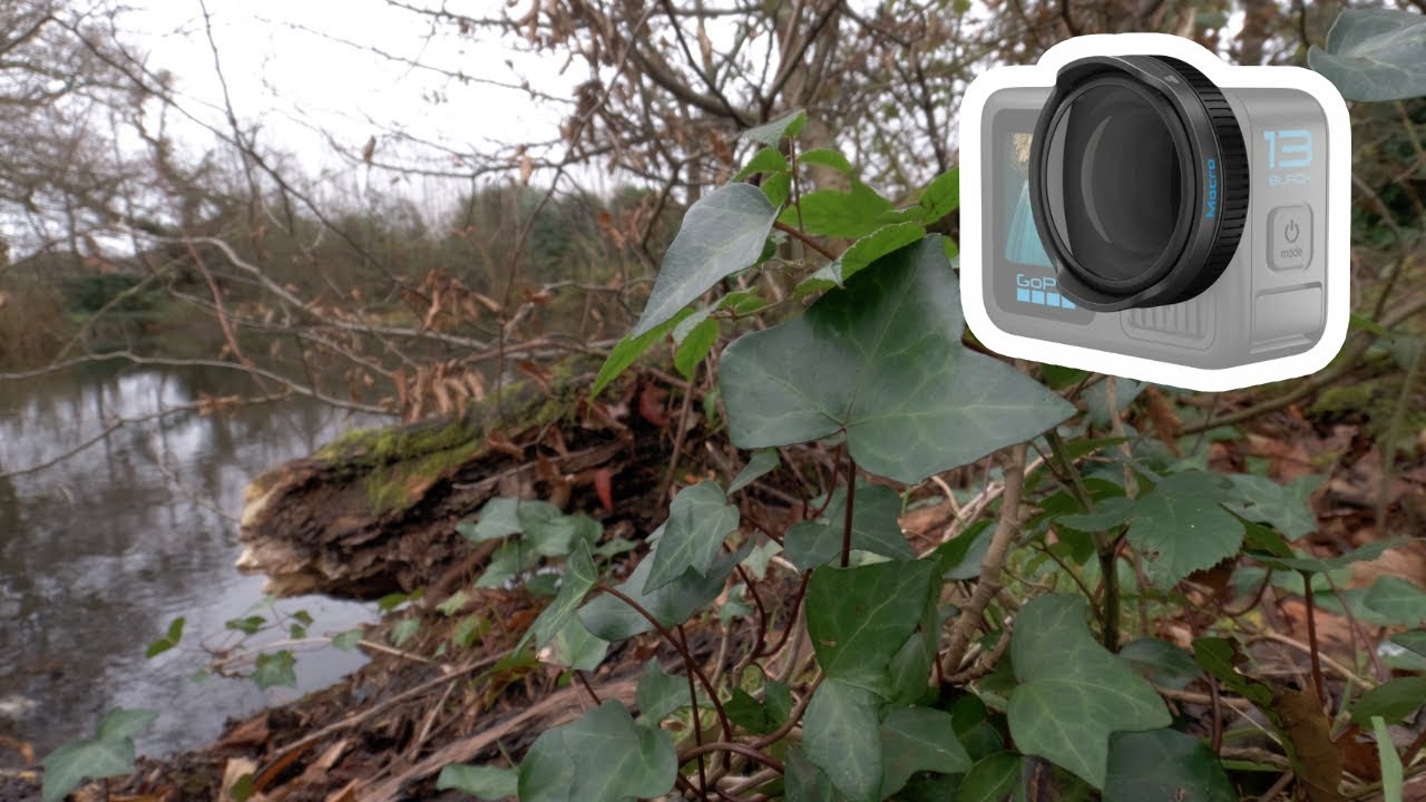 GoPro Hero 13 Macro Lens Mod & Bokeh Test - YouTube
