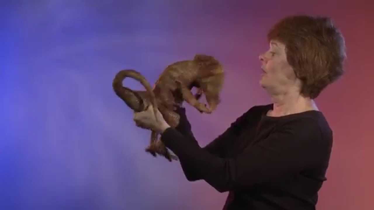 Folkmanis® Frilled Lizard Puppet Demo - YouTube