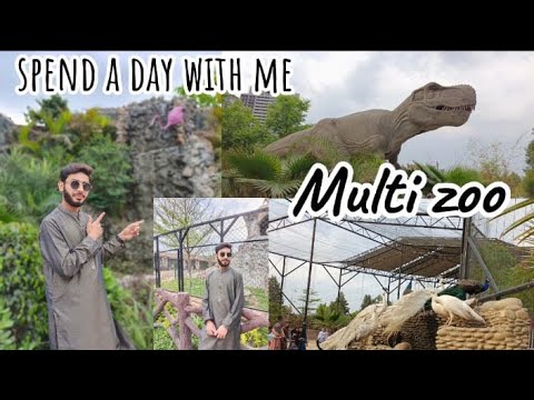 A wonderful day in Multi zoo🤍 - YouTube