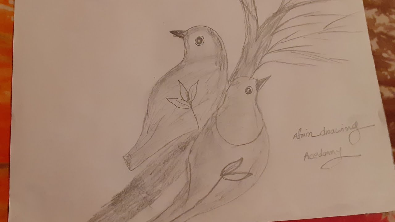 How to draw a tree with outside sweet bird 🐤 s drawing ( afrin drawing ...